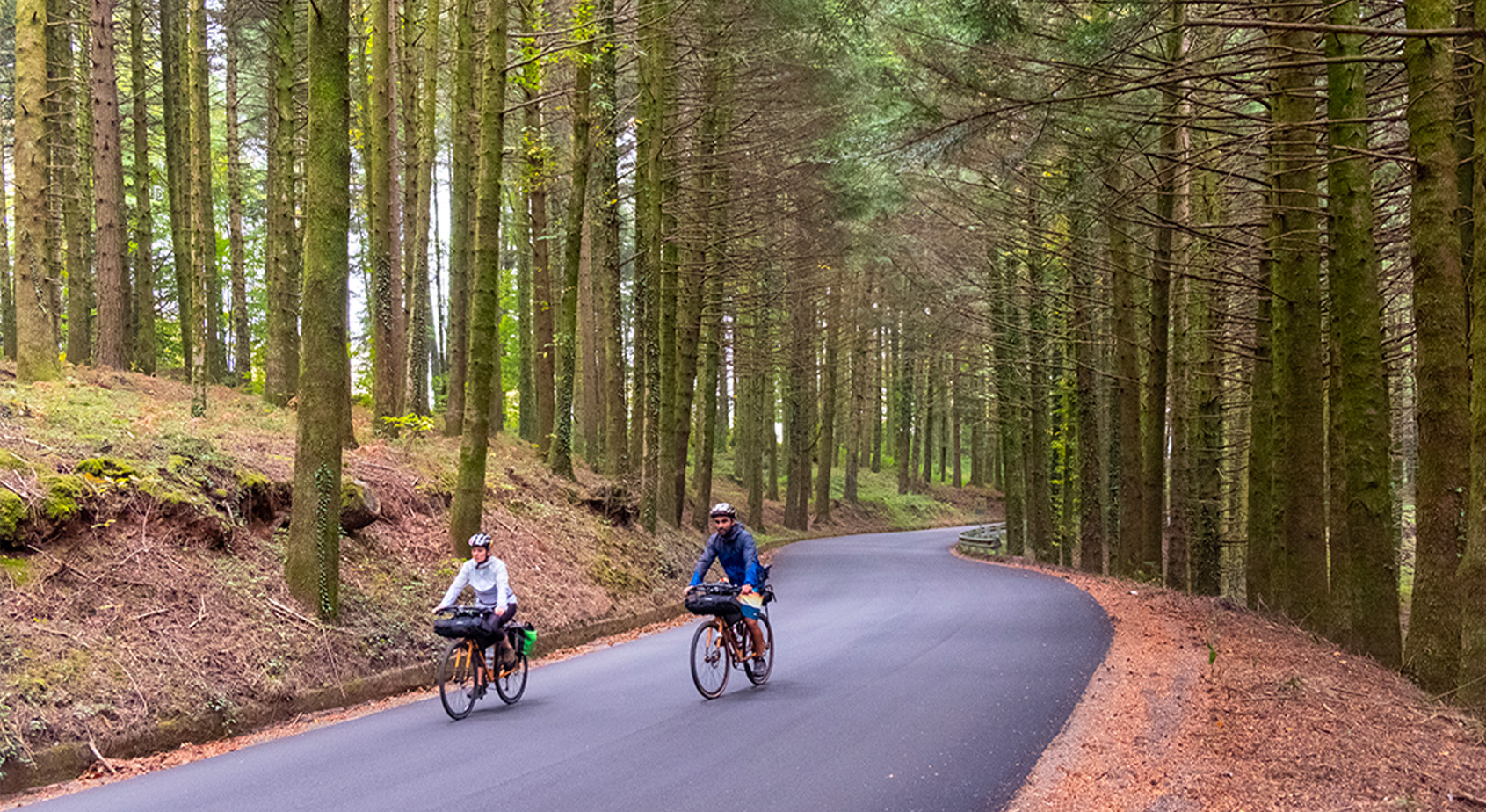 La Ciclovia dei Parchi di Calabria dall'EuroVelo al Nord Europa - Bici ...
