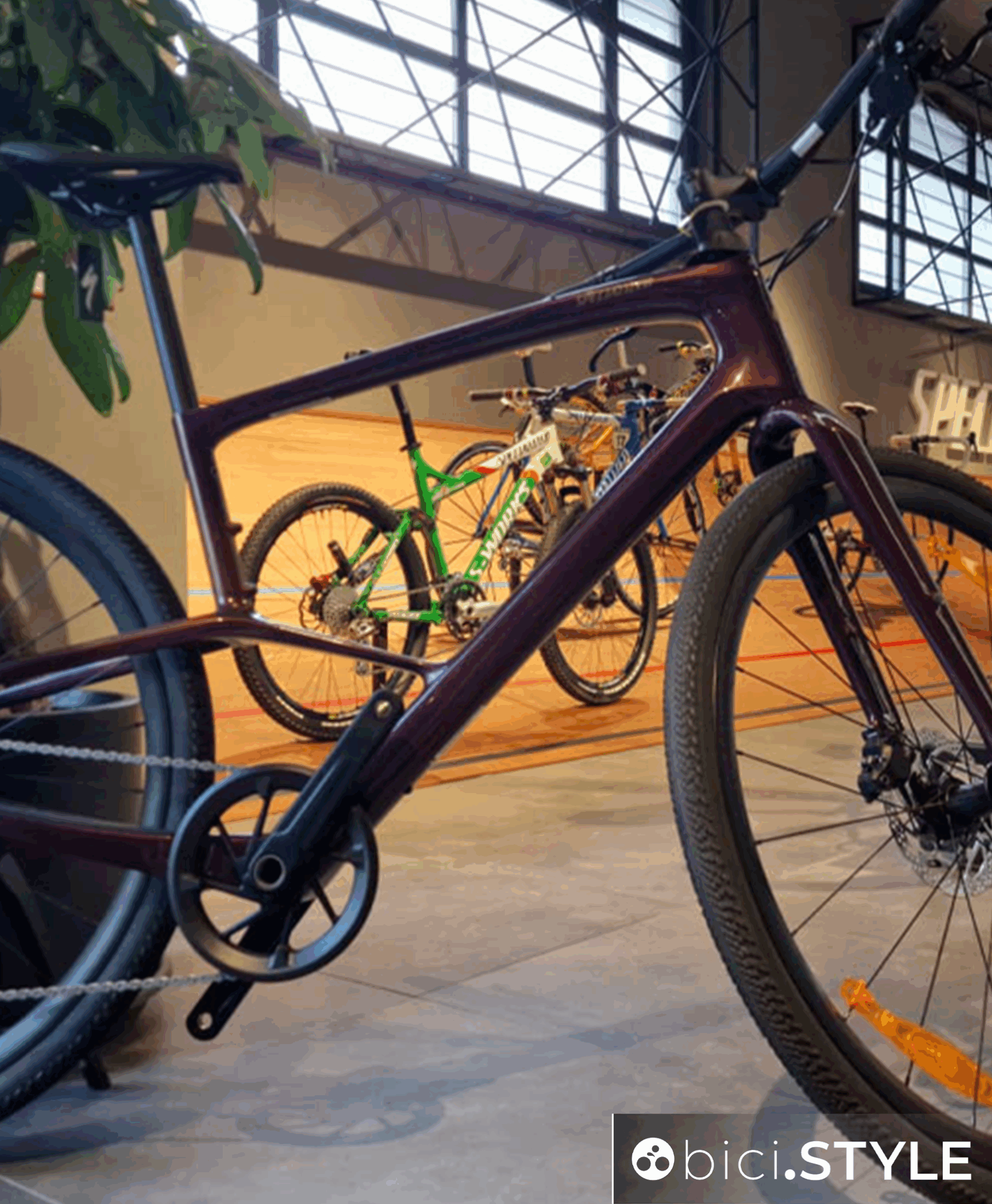 Il Vigo Store Specialized: valorizzare la storia guardando al futuro ...